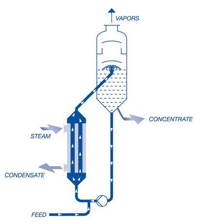 Sulfite process: Comparison of evaporator types